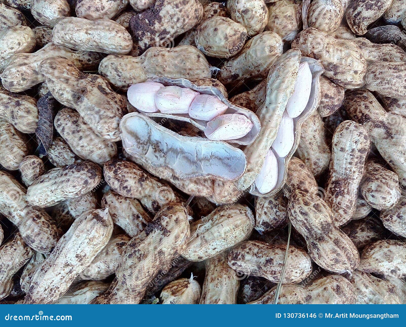 Peanut stock photo. Image of white, background, open - 130736146