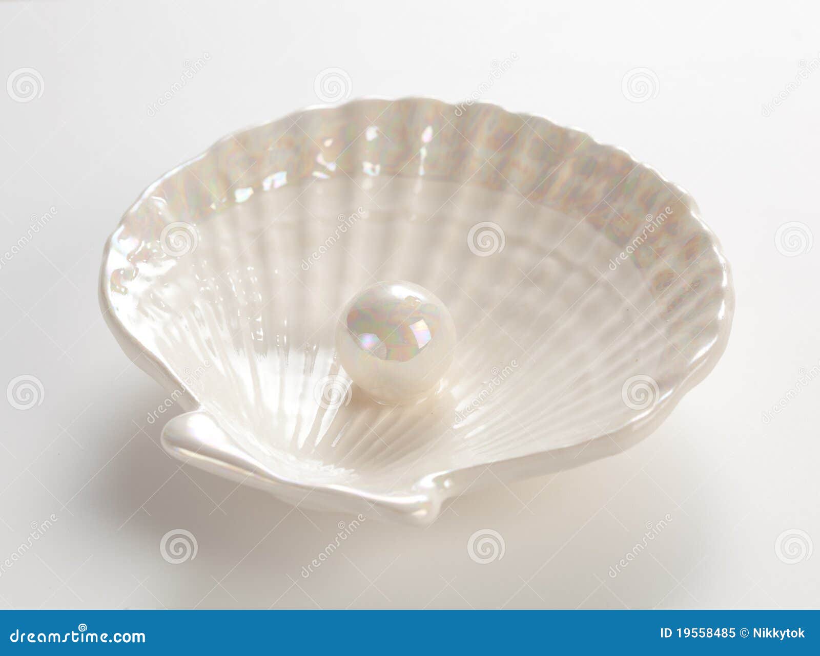White pearl in the shell stock image. Image of reflection - 19558485