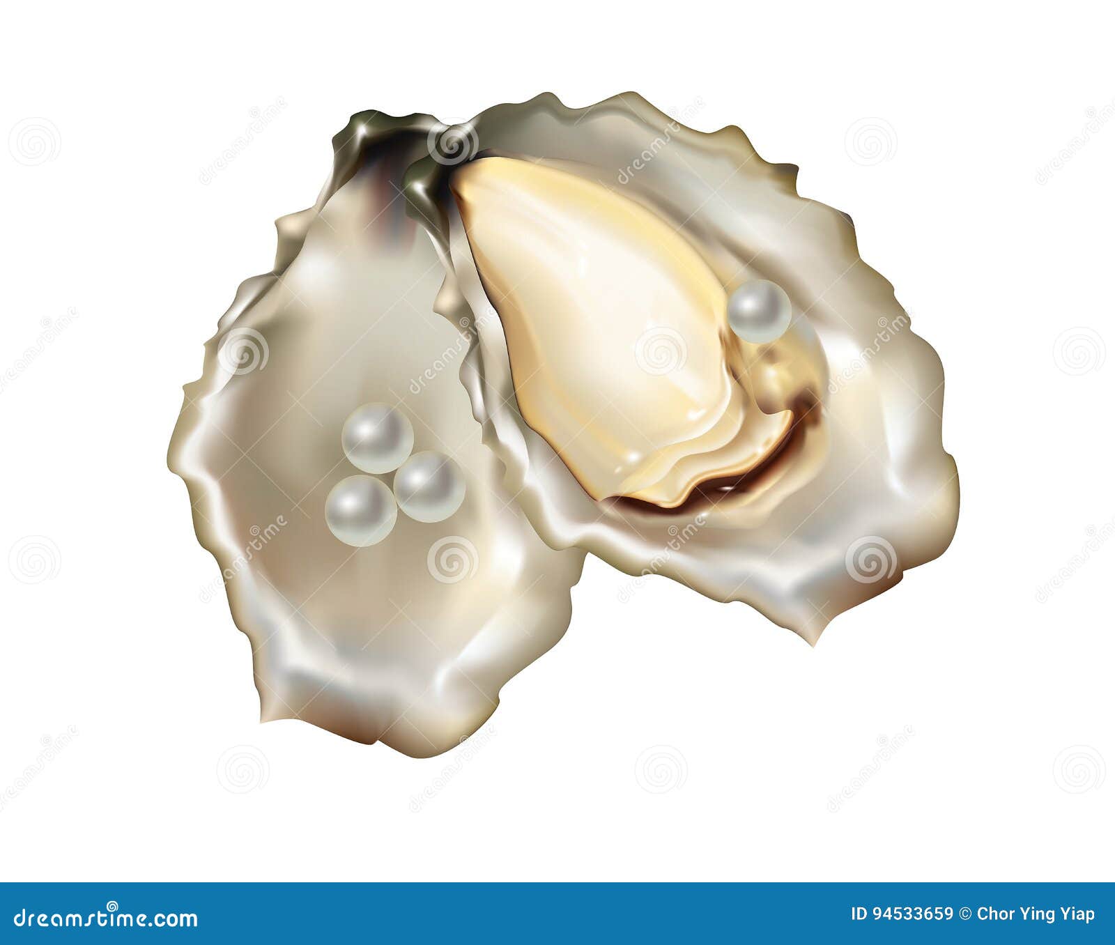 Oyster Shell Banner, Seafood Farm Banner Template Stock Illustration ...
