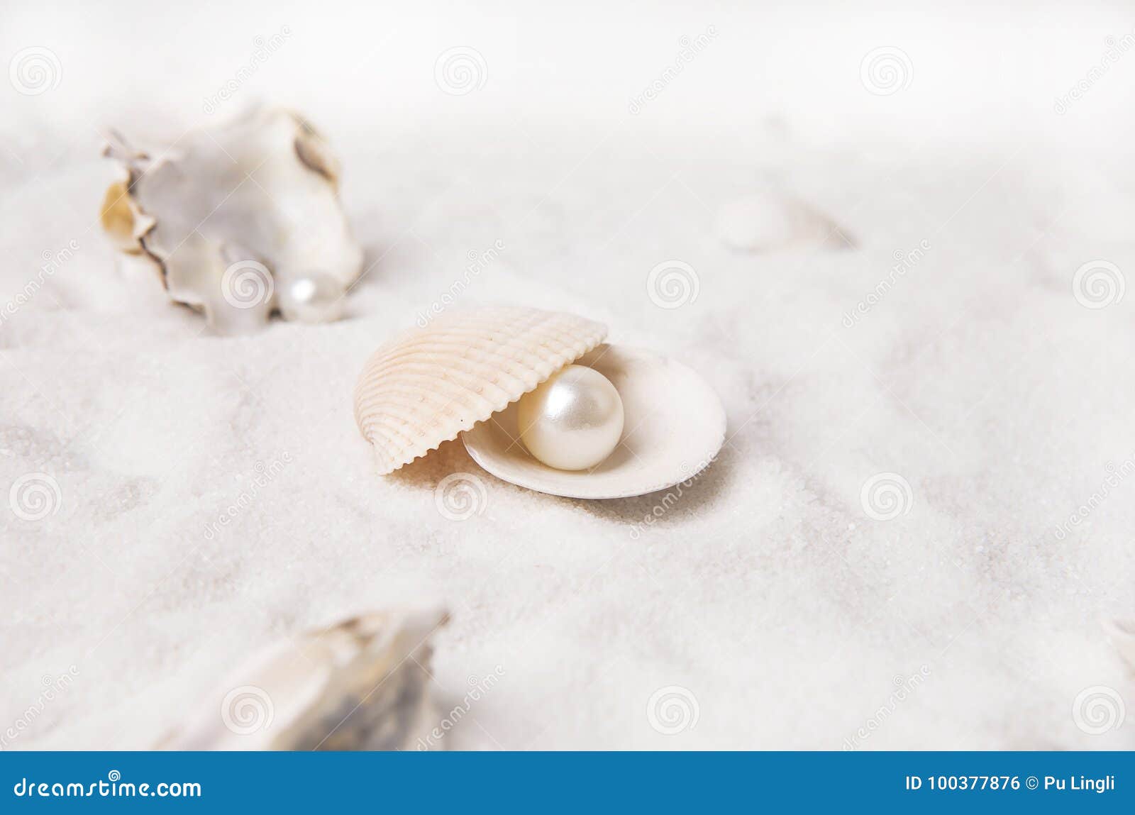 Pearls Sand Stock Images - Download 752 Royalty Free Photos