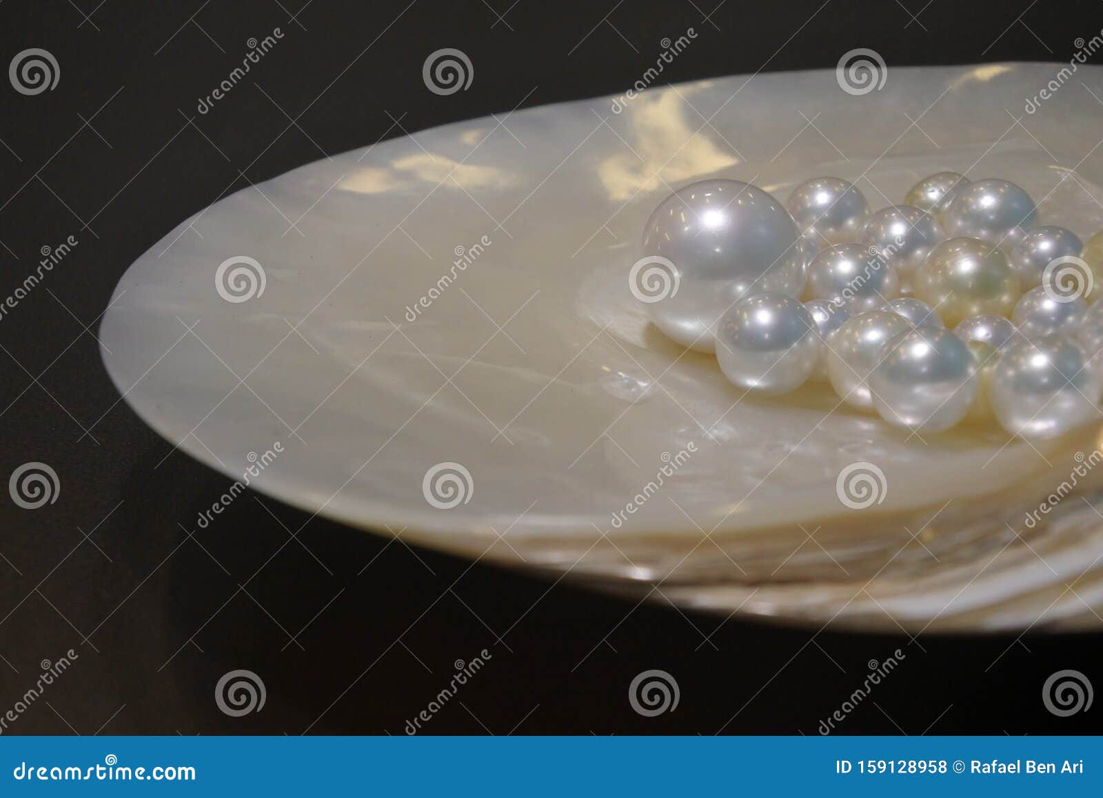 White Pearls in a Shell Broome Western Australia Stock Photo - Image of ...
