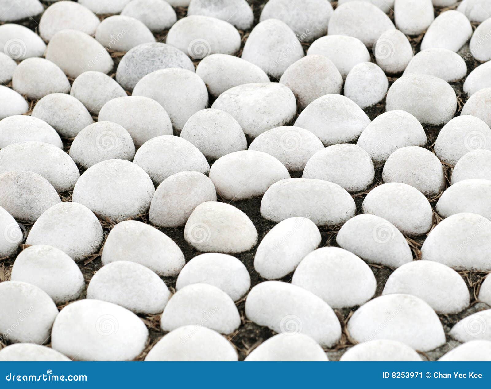 White pebble stone stock image. Image of material, macro - 8253971