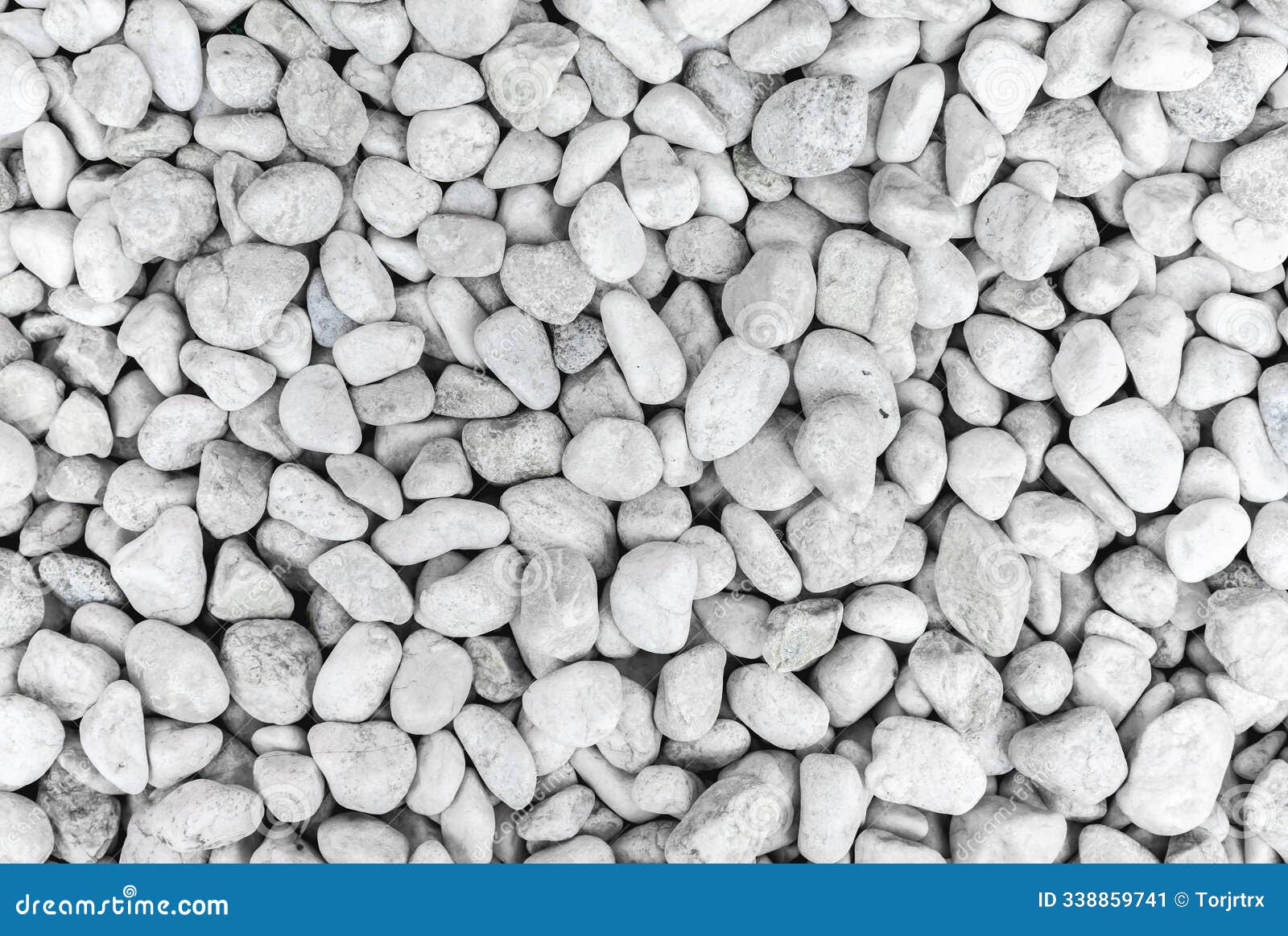 White Pebble Stone Close Up Background and Texture Stock Image - Image ...