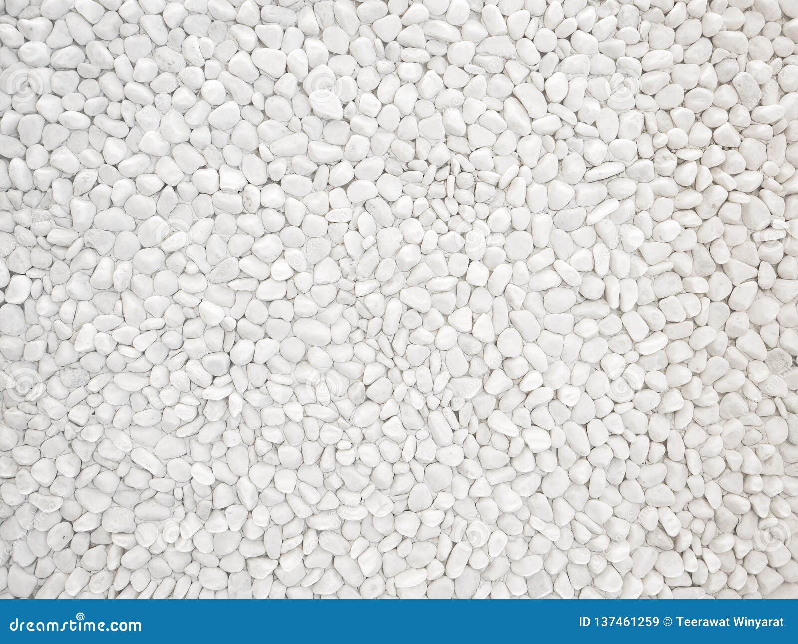 White Pebble Stone Nature Texture Background Stock Image - Image of ...
