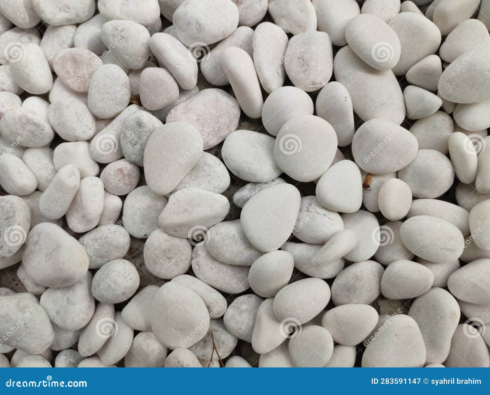 White Pebble Stone Texture Background,floor Stone Pattern Stock Image ...