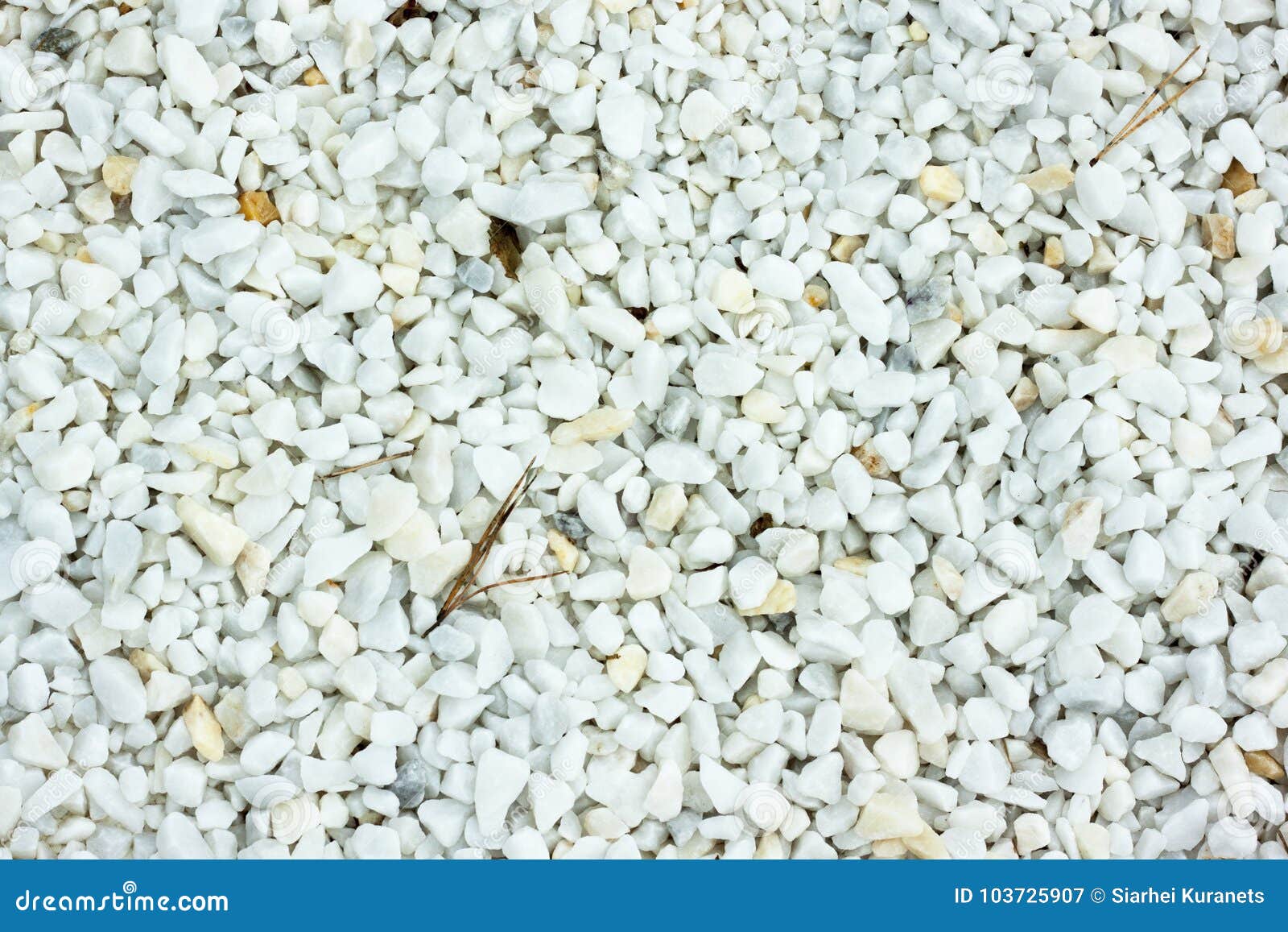 White Pebble Stone Texture on the Ground. Stock Image - Image of beach ...