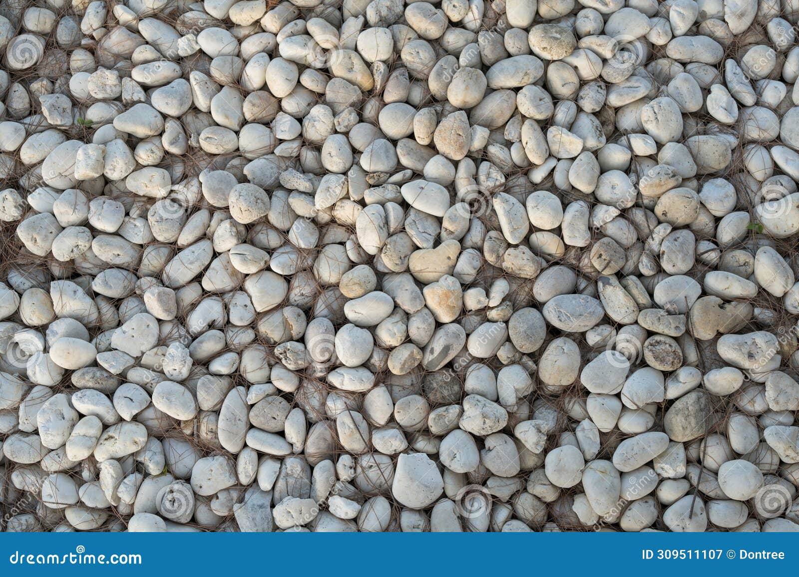 White Pebble Stone Texture on the Ground Stock Image - Image of circle ...
