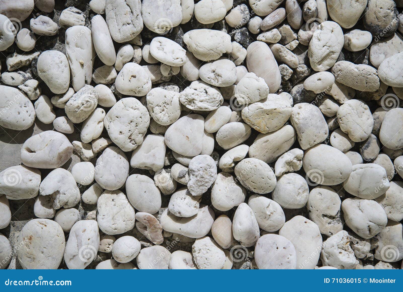White pebble stones. stock image. Image of grounds, rock - 71036015