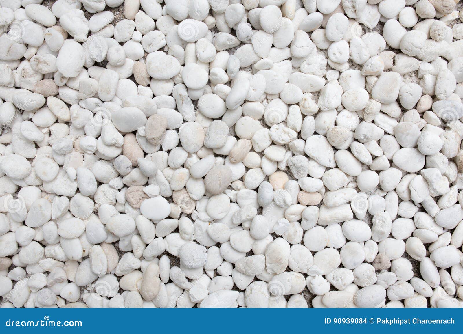White Pebble Stones Ground Floor Background Texture. Stock Photo ...
