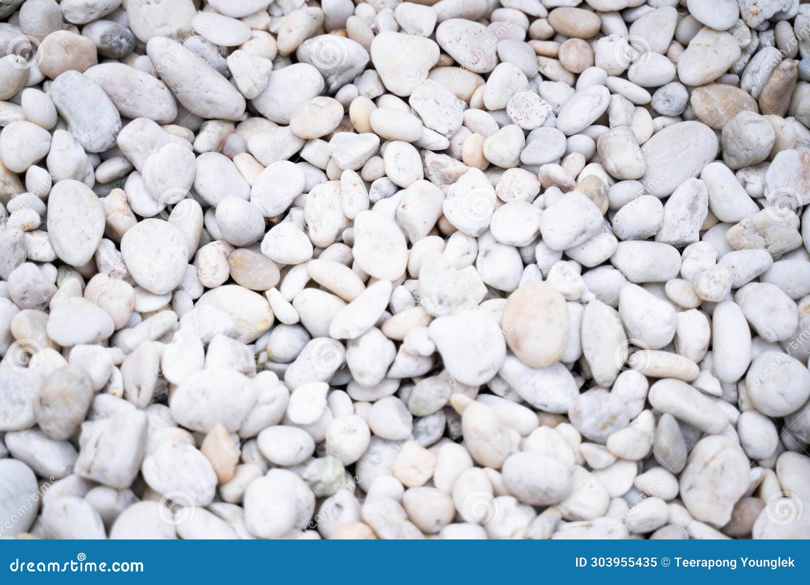 White Pebble Surface, Small Stones on the Ground, Top View of Natural ...