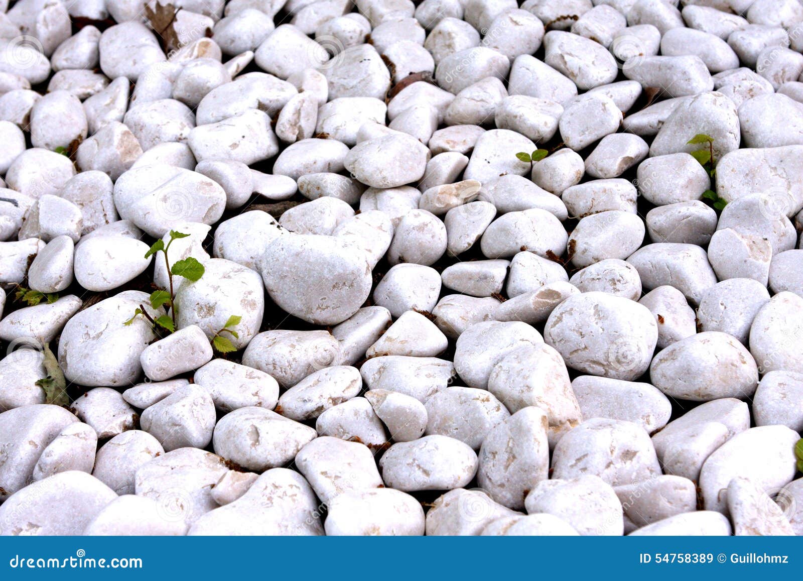 White pebble stock image. Image of beach, decoration - 54758389