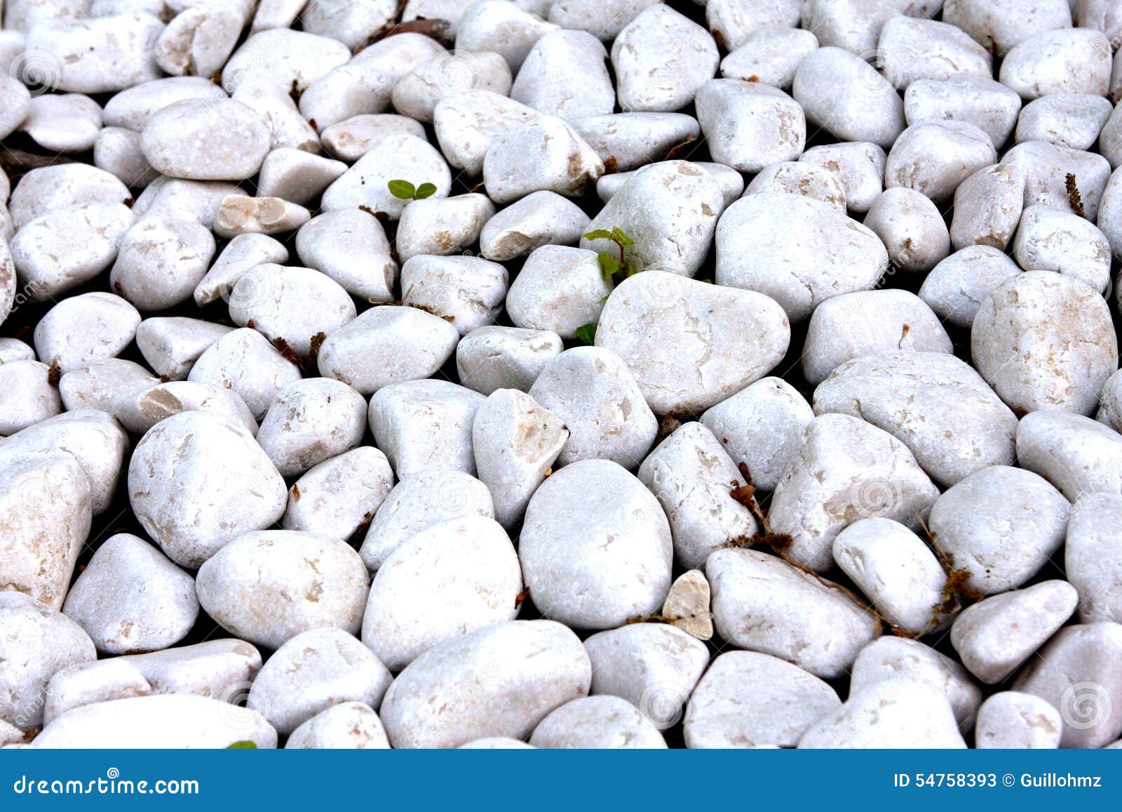 White pebble texture stock image. Image of background - 54758393