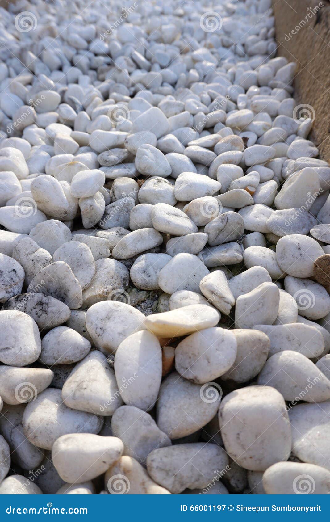 White pebble texture stock image. Image of pebble, natire - 66001197