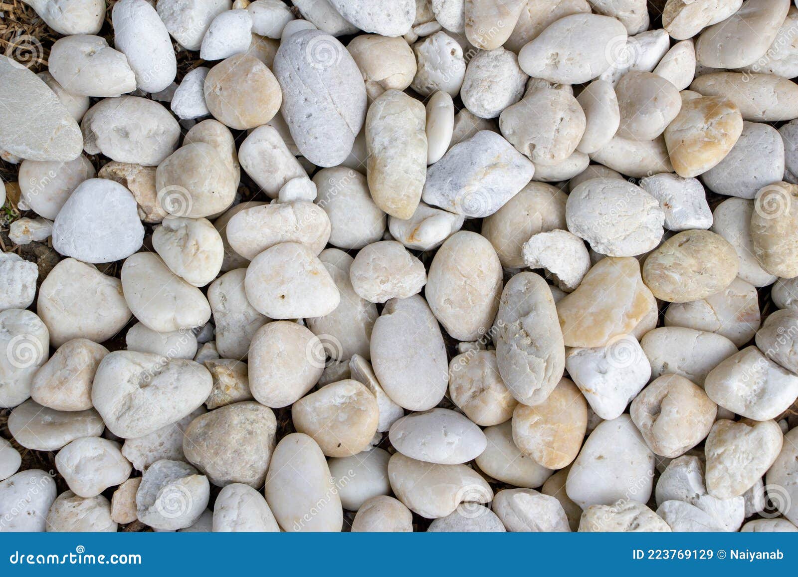 White pebbles background stock image. Image of background - 223769129