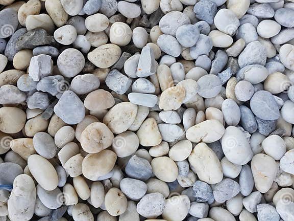White pebbles on the beach stock photo. Image of coast - 293051892