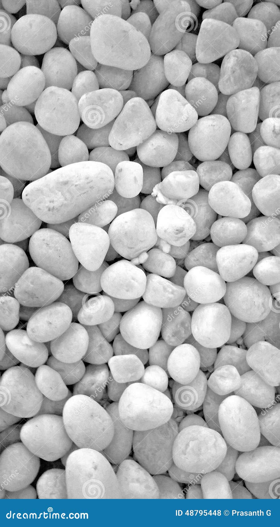 White pebbles stock photo. Image of white, pebbles, group - 48795448