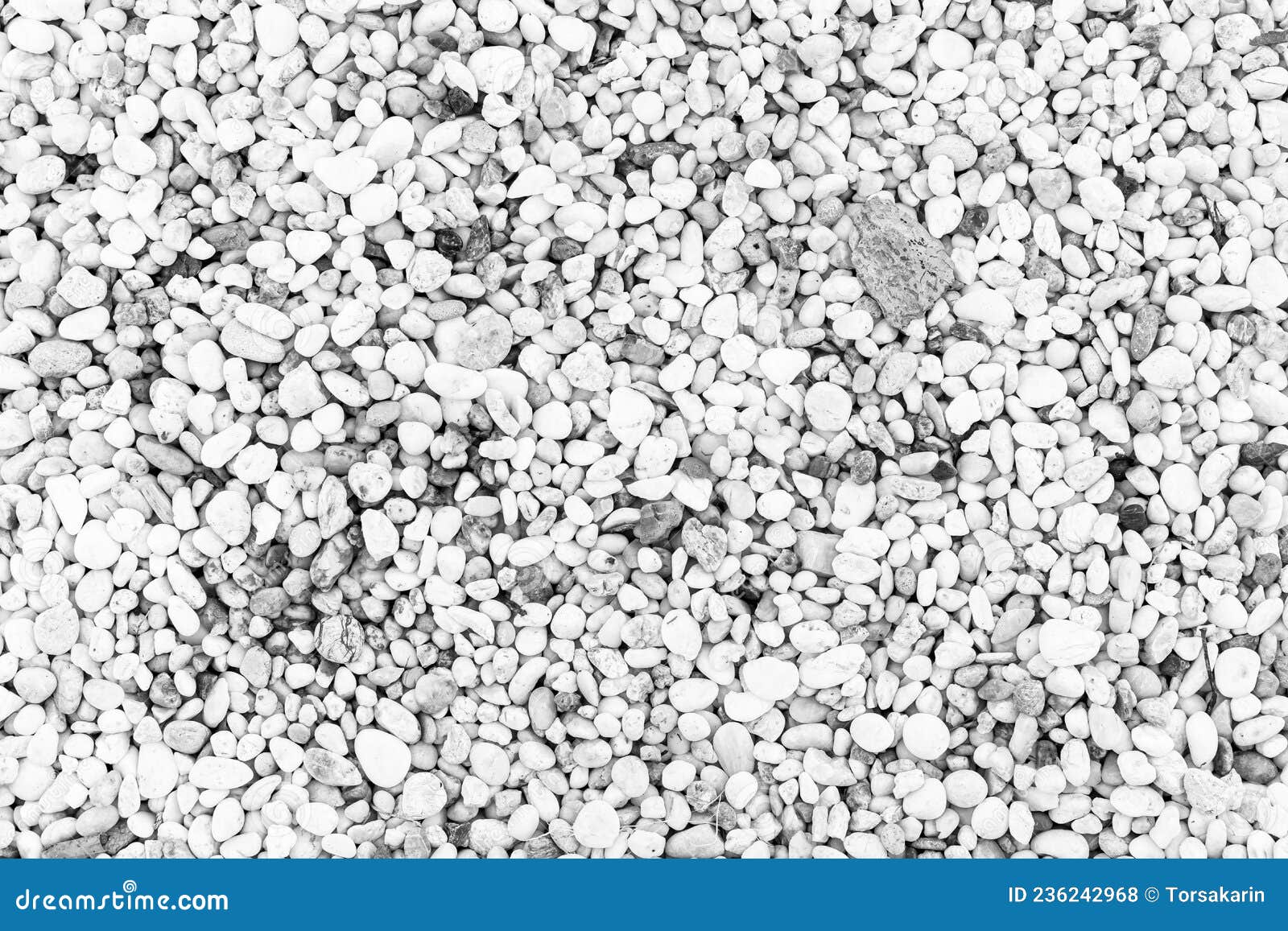 Pebbles Floor Pattern and Background Seamless Stock Photo - Image of ...