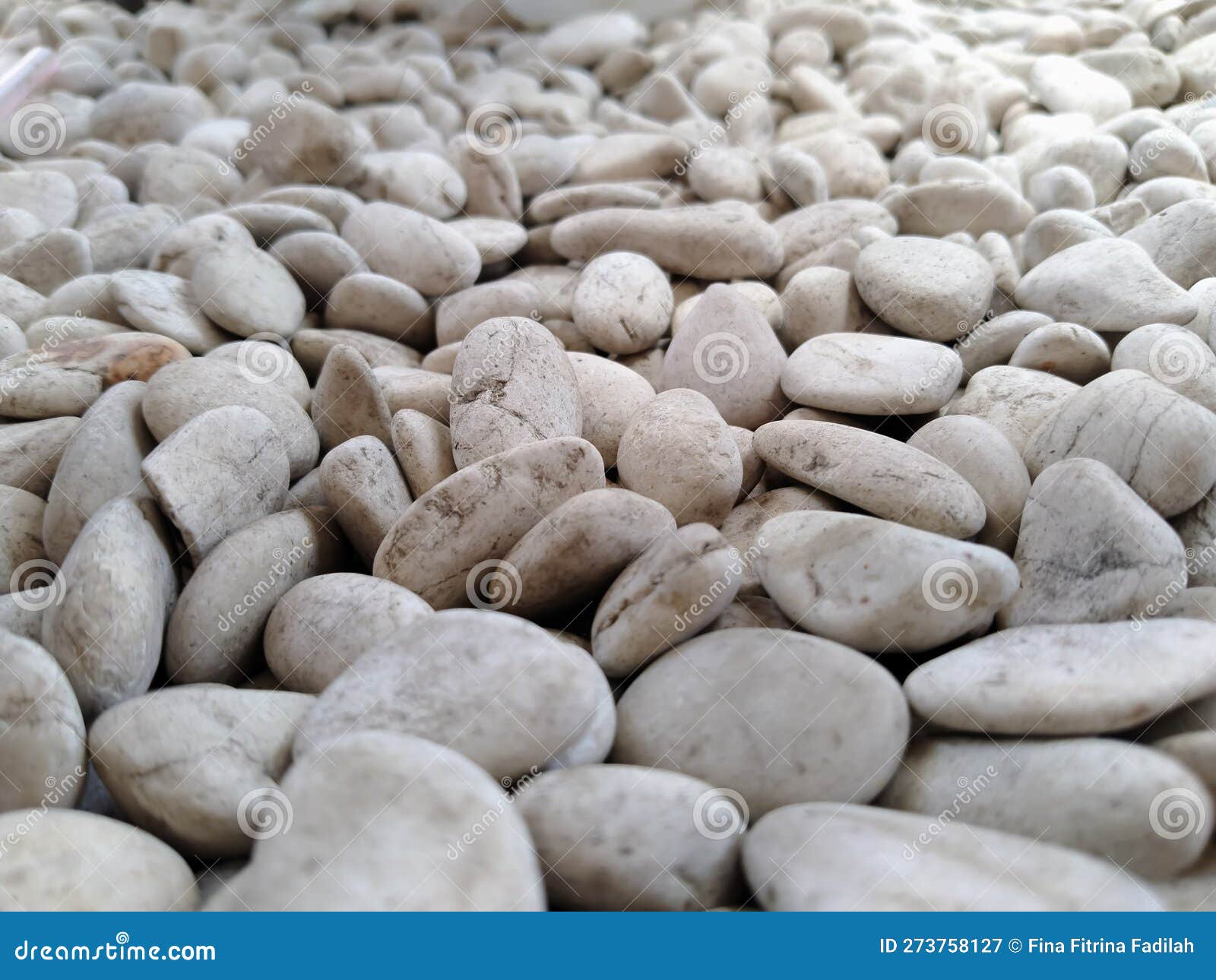 White Pebbles in the Front Yard of the House Stock Image - Image of ...