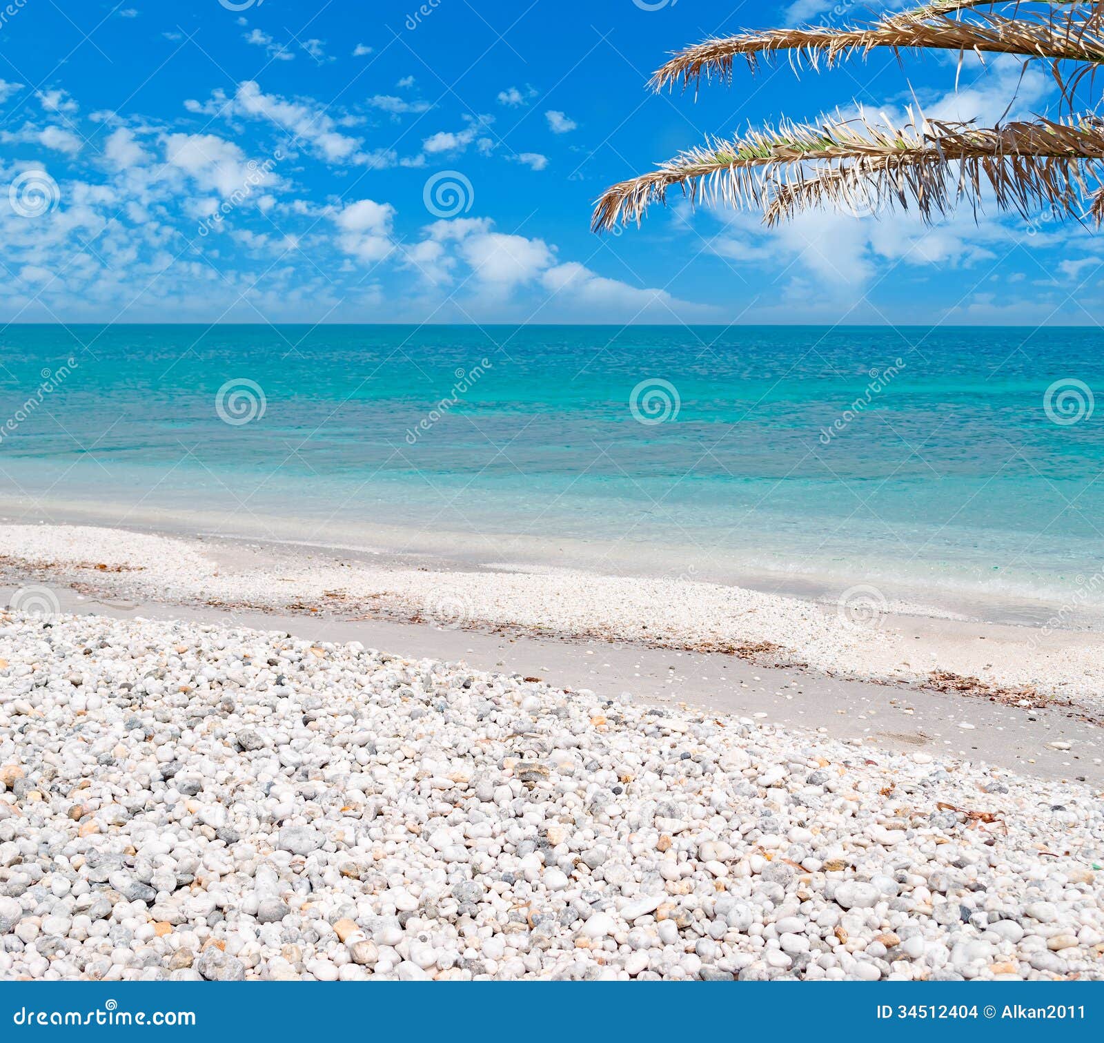 White Pebbles and Palm Tree Stock Photo - Image of pebble, clear: 34512404