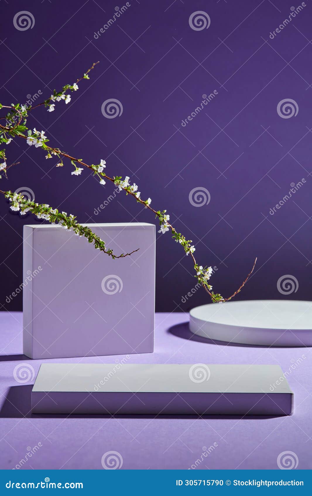 White Pedestals in Square, Rectangle and Round Shape. Stock Photo ...