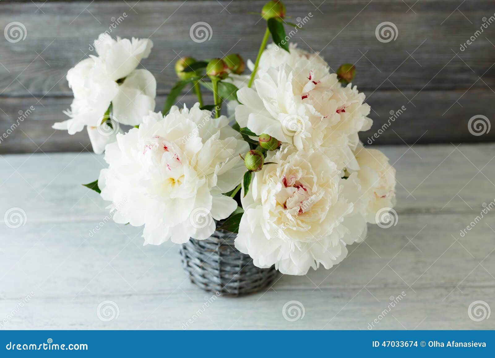 White Peonies Vase Boards Photos - Free & Royalty-Free Stock Photos ...