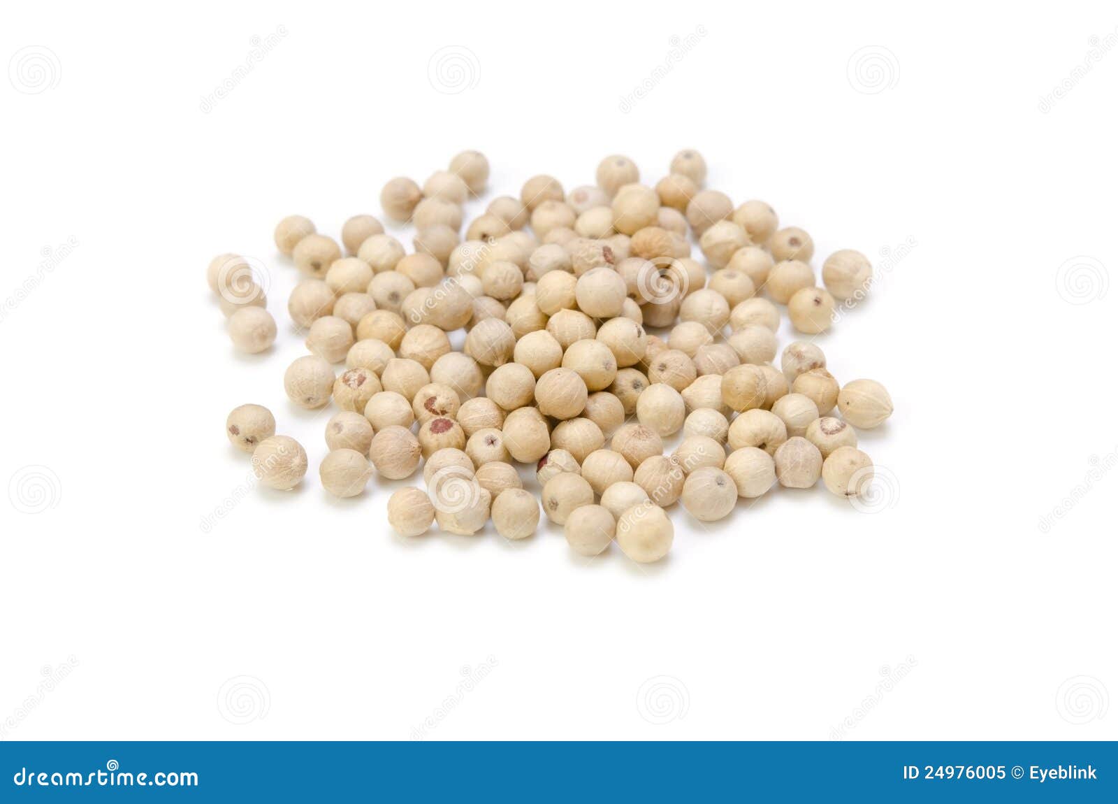 White pepper stock image. Image of eating, cook, white - 24976005