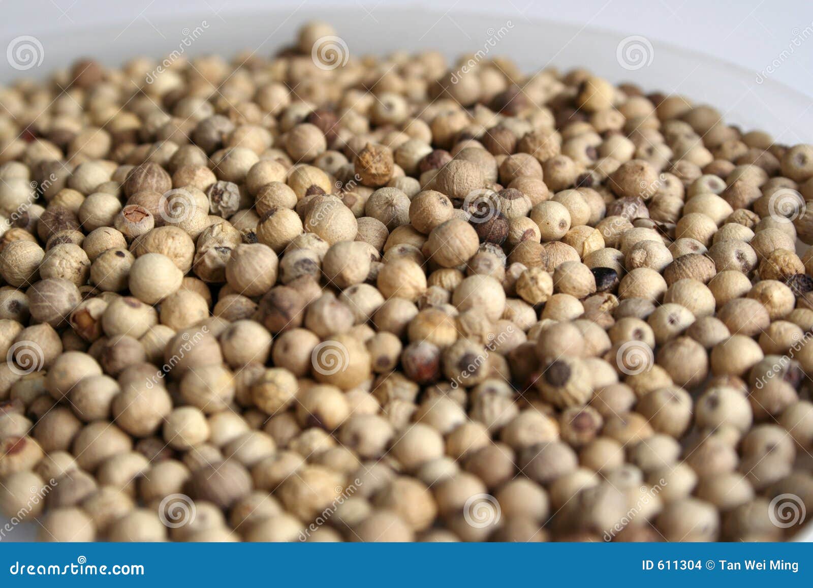 White Pepper stock photo. Image of black, biology, flavor - 611304