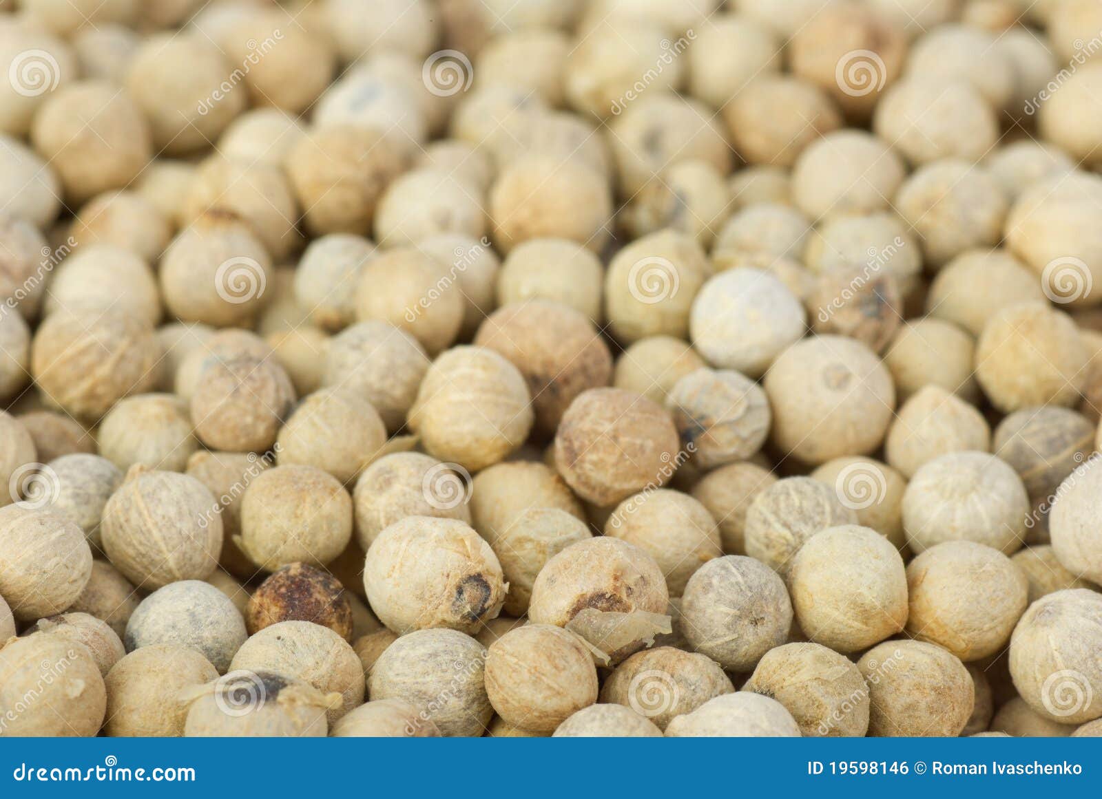 White pepper background stock photo. Image of spice, peppercorn - 19598146
