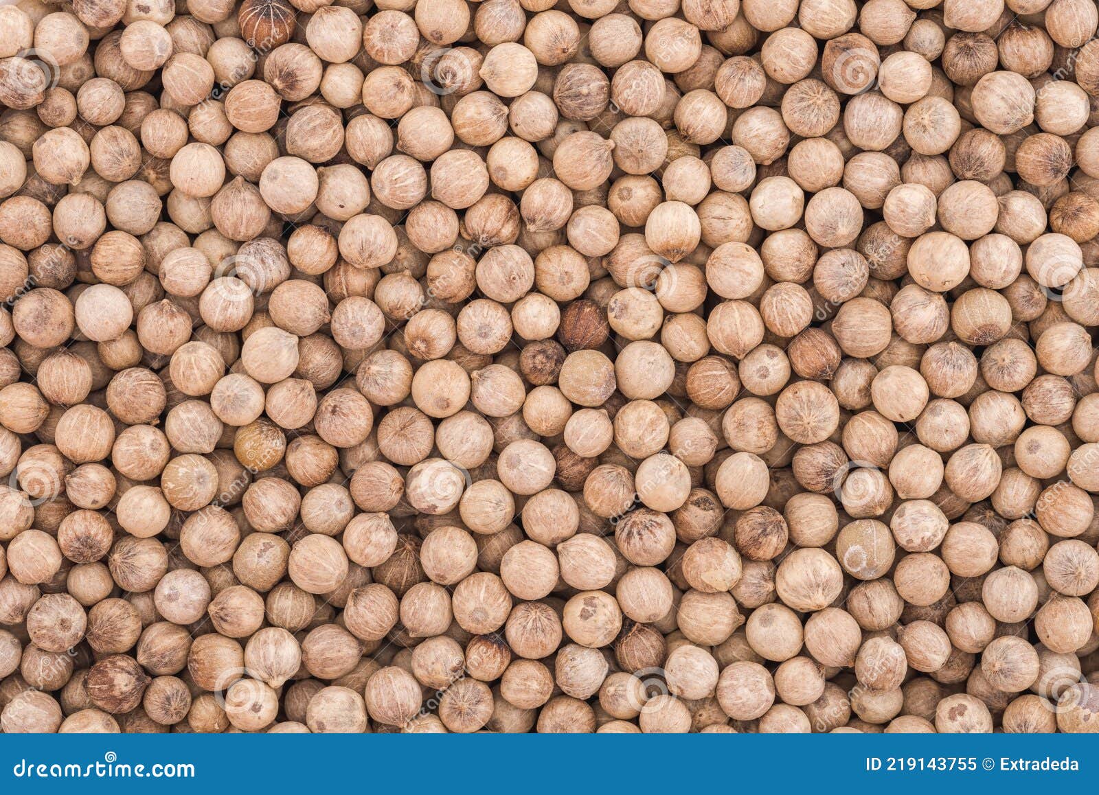 White Pepper Close Up Photo High Resolution. Top View Background Stock ...