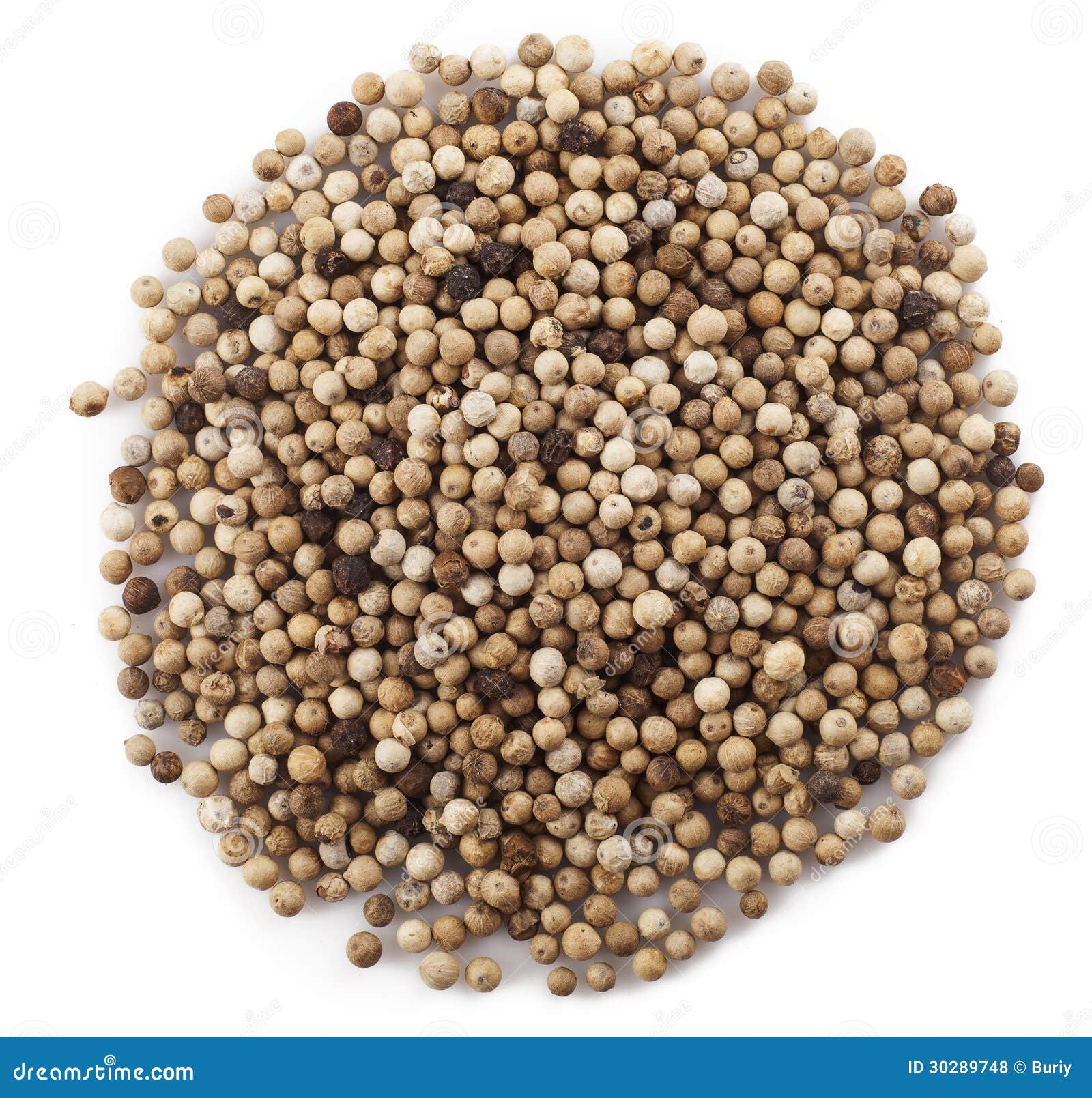 White pepper stock photo. Image of seasoning, grain, peppercorn - 30289748