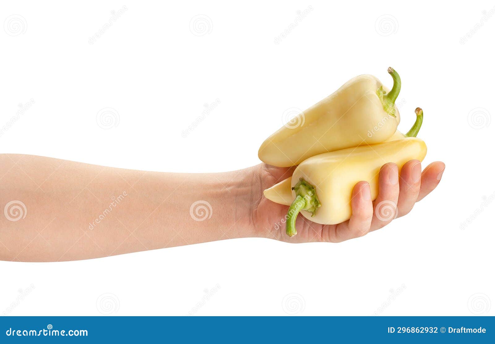 White pepper in hand stock photo. Image of hand, pepper - 296862932