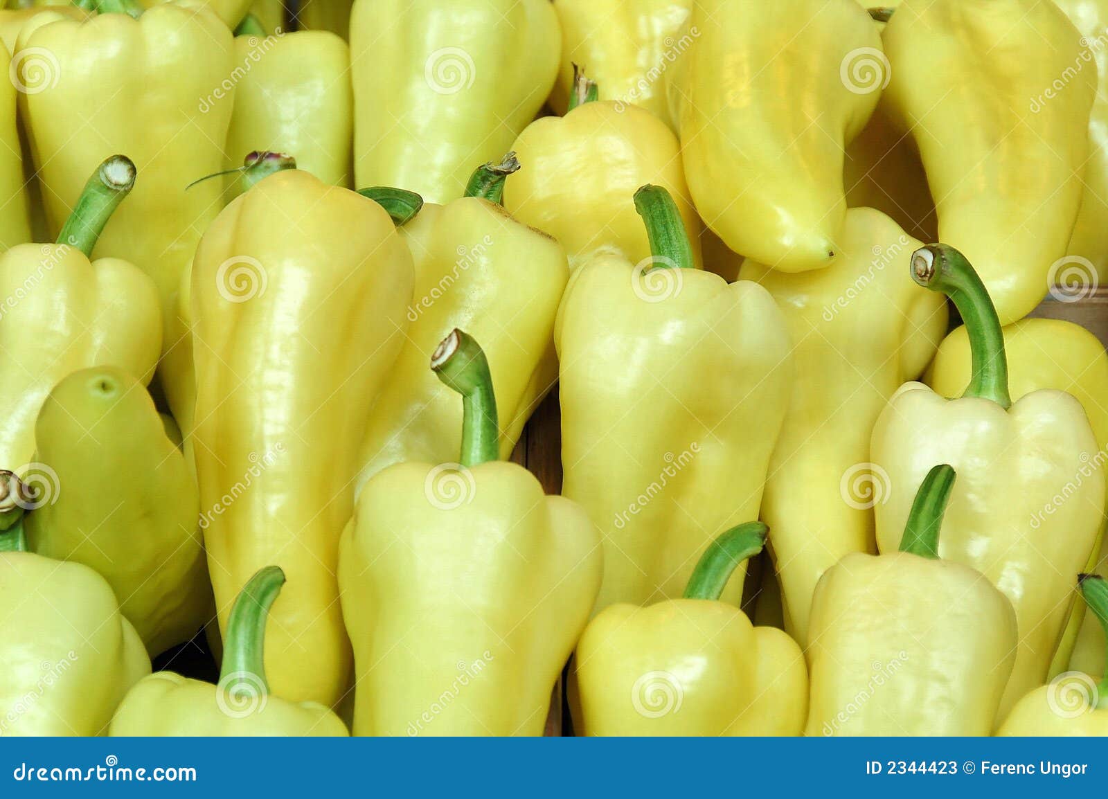 White peppers stock image. Image of healthy, ingredient - 2344423