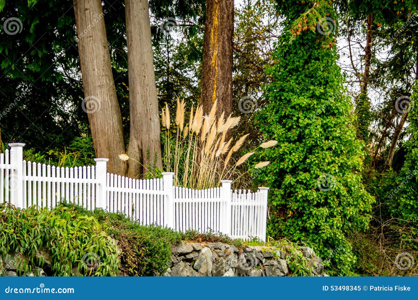 White Picket Fence with Cattails Stock Image - Image of foliage, fence ...