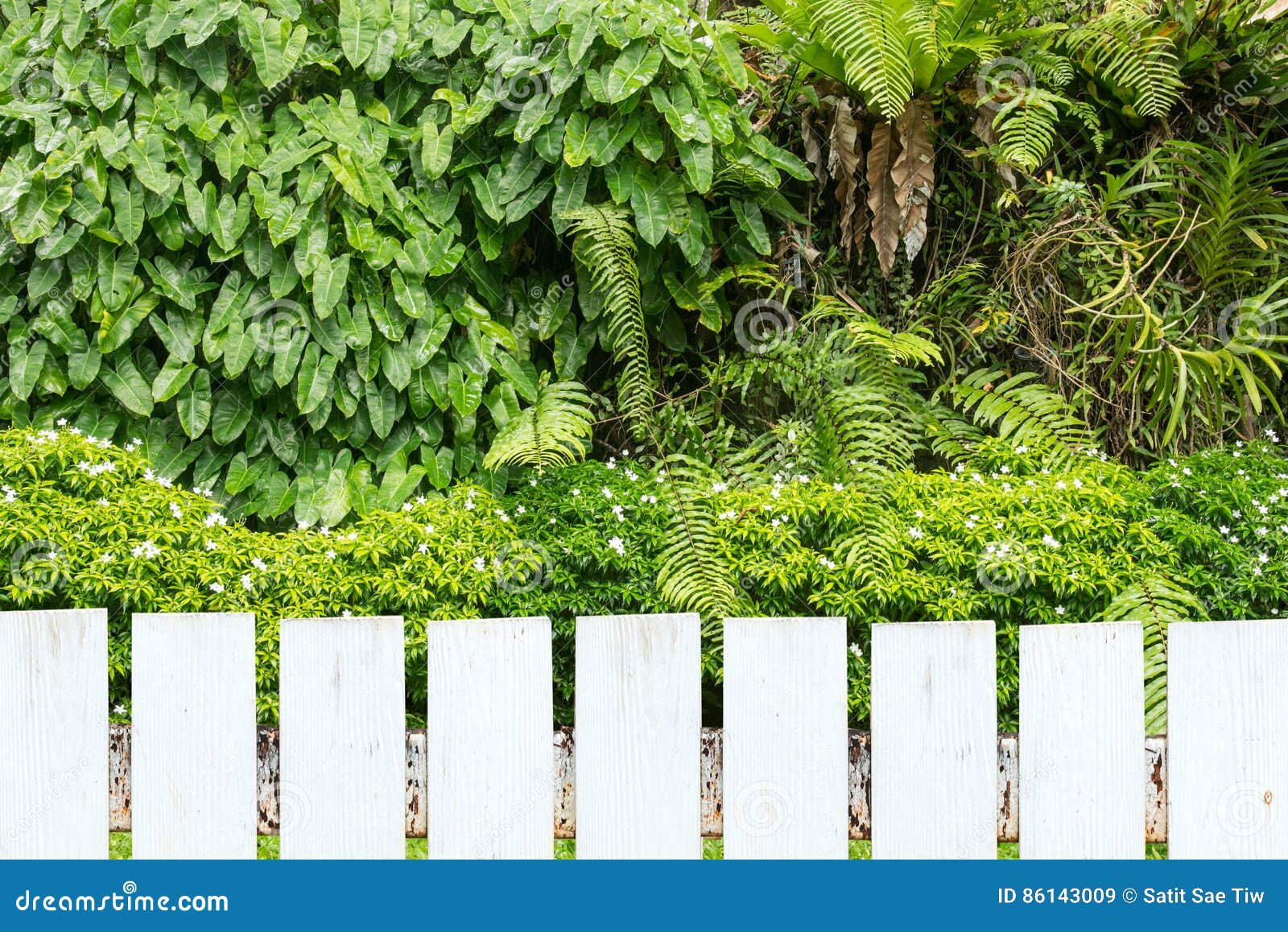 White Picket Fence and Green Plants. Stock Image - Image of gardening ...