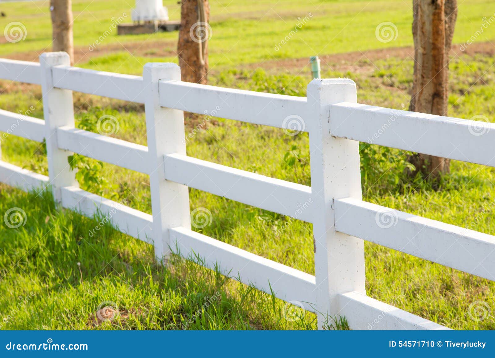 White picket fence stock photo. Image of green, garden - 54571710