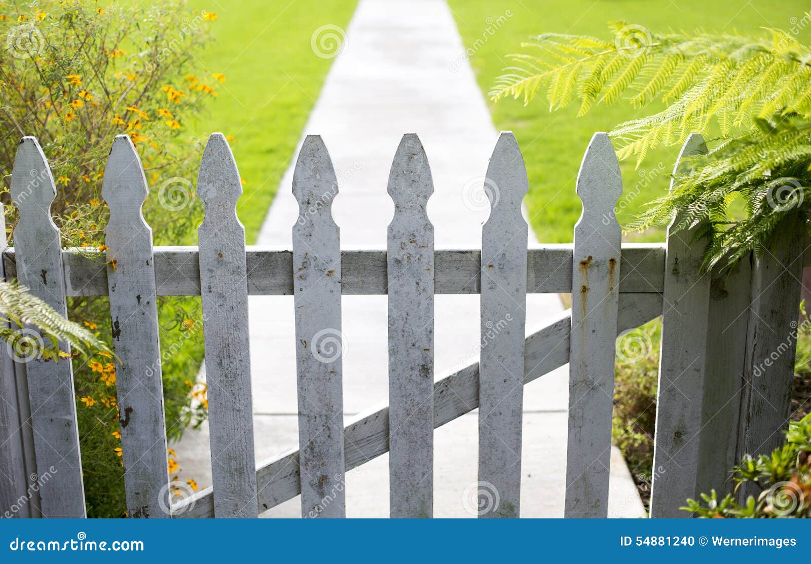 White picket fence stock photo. Image of colorful, beautiful - 54881240