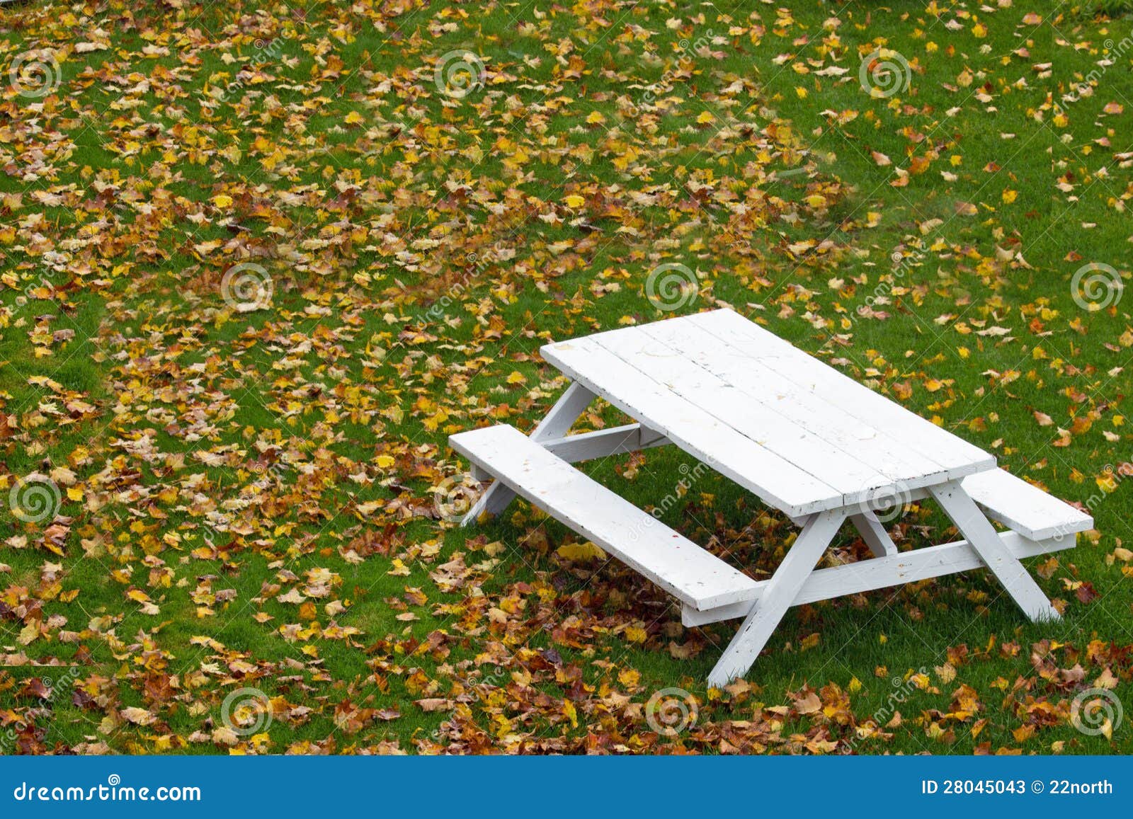 White Picnic Table stock image. Image of white, outdoors - 28045043
