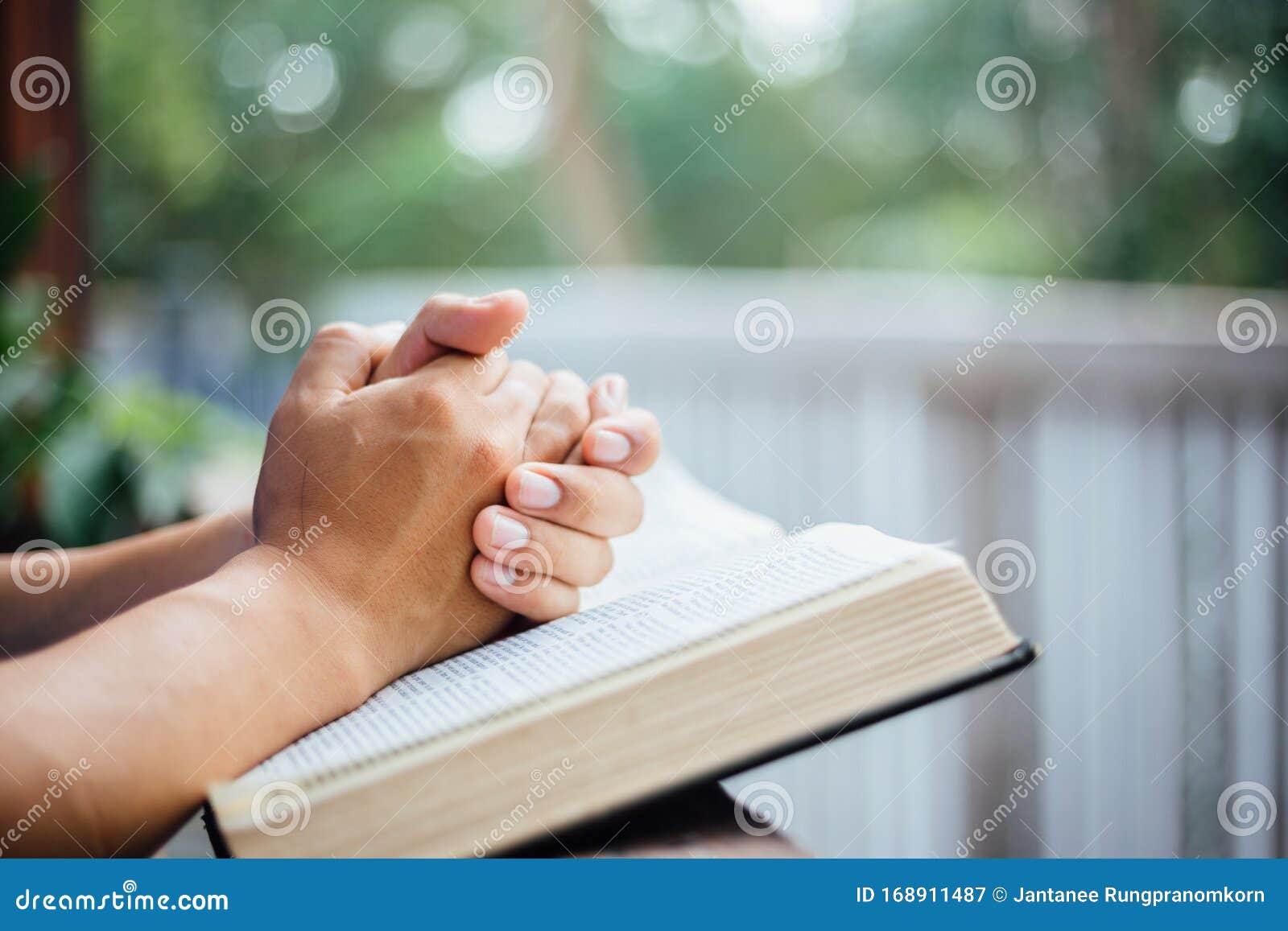 Read bible and praying . stock image. Image of hold - 168911487
