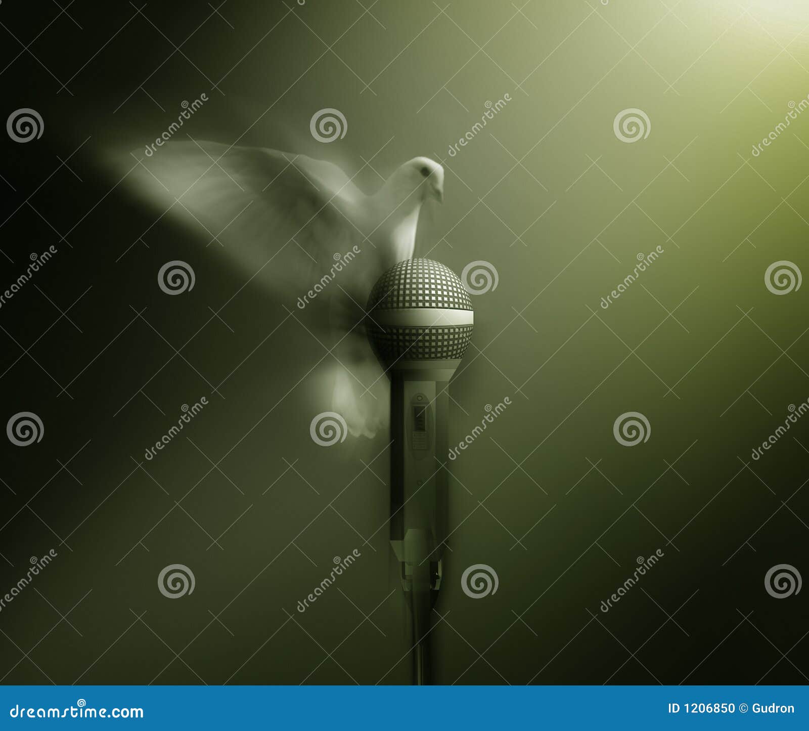 White pigeon stock photo. Image of liberation, sign, handralay - 1206850