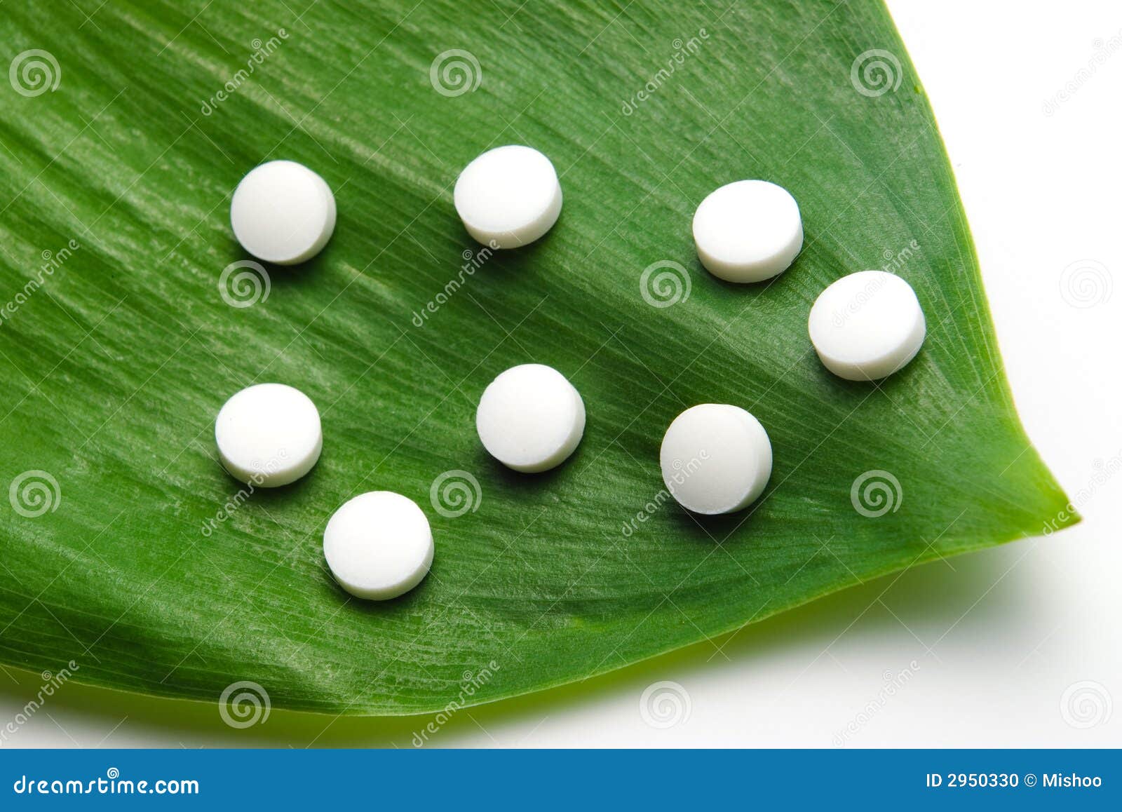 White pills on leaf stock photo. Image of closeup, overdose - 2950330