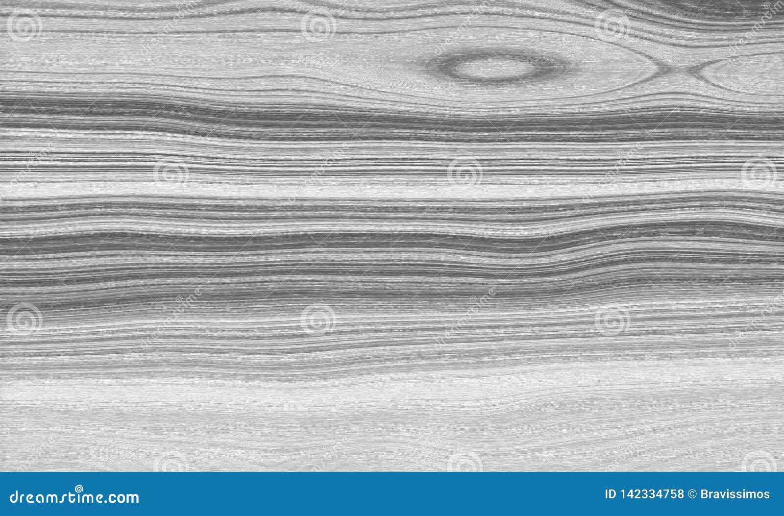 Wood Or Kempas Tree (Koompassia Malaccensis) Stock Photo ...