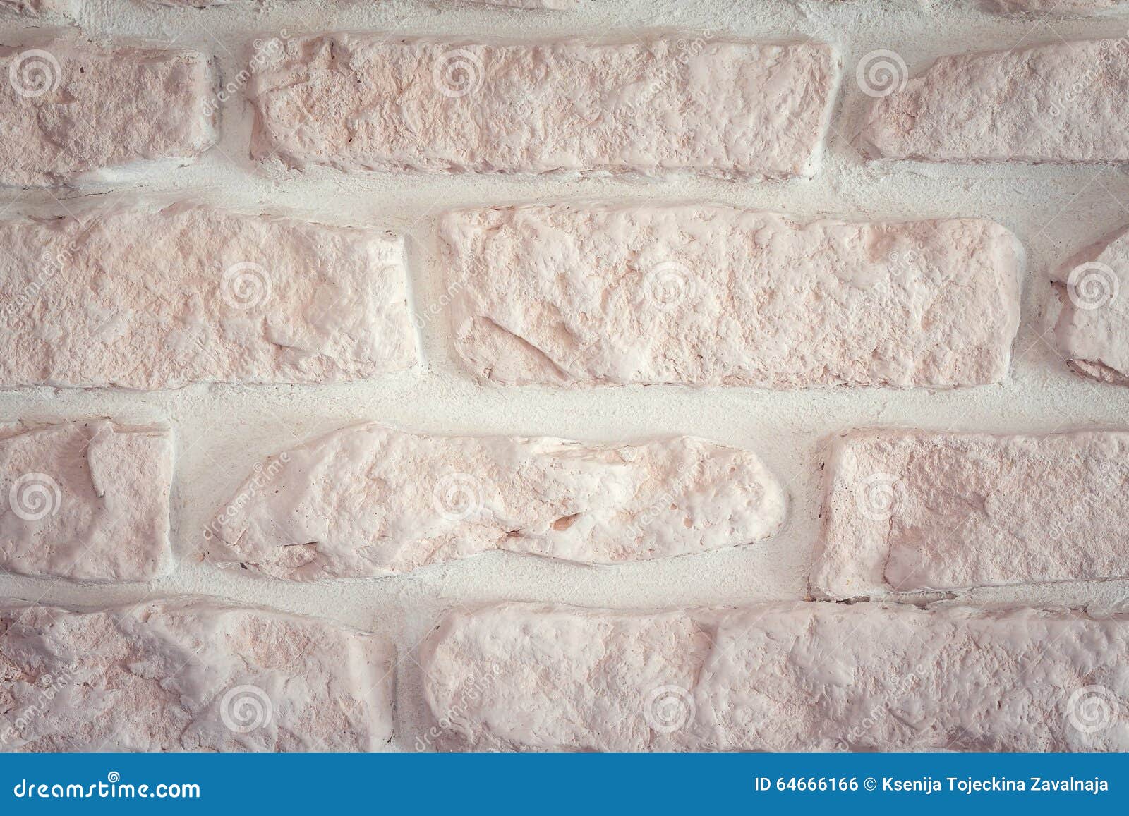 Pink Brick Wall Texture With Cherry Blossom Shadow Background, Vintage ...