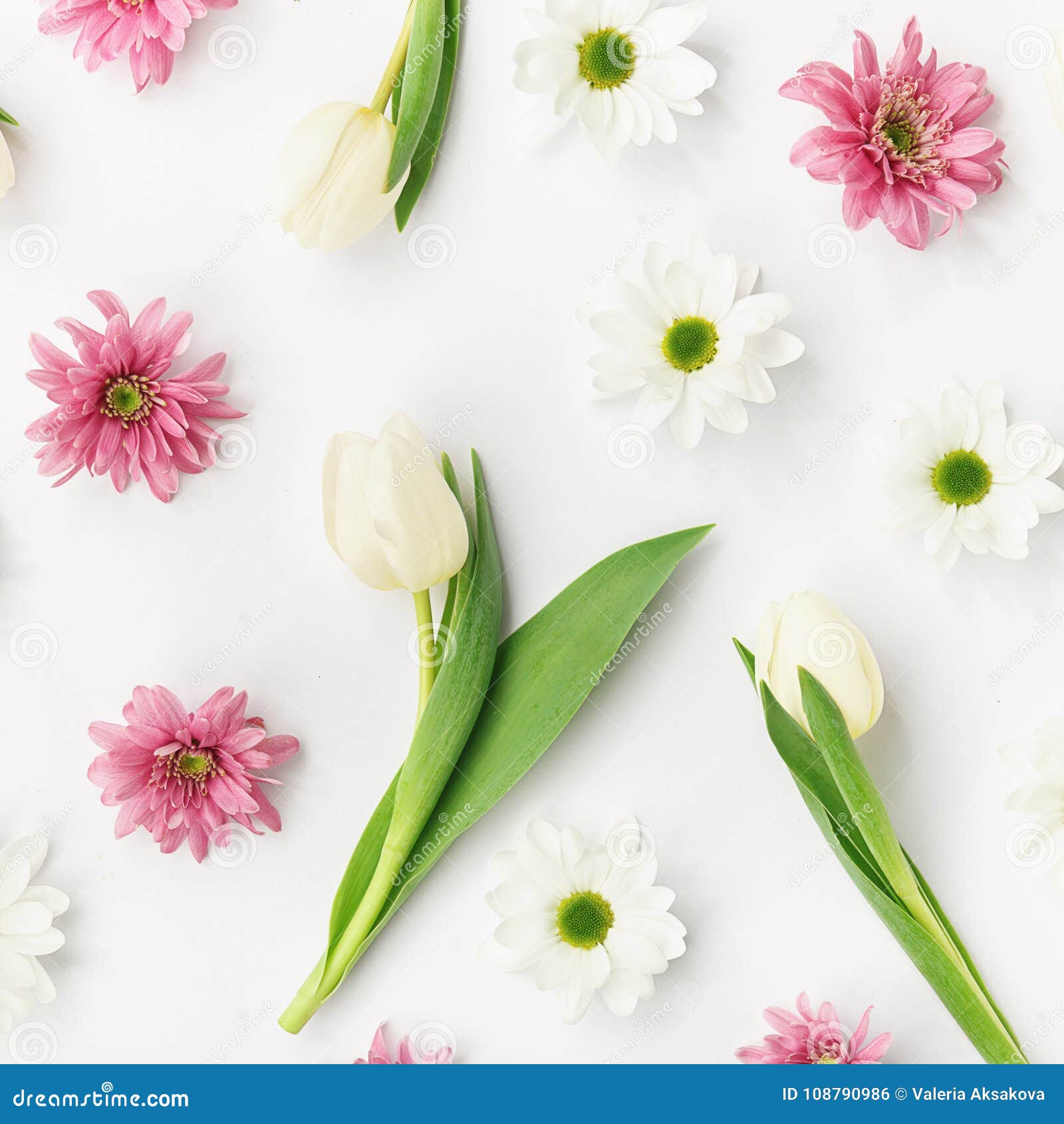 White and Pink Flowers Pattern Stock Photo - Image of grow, abstract ...