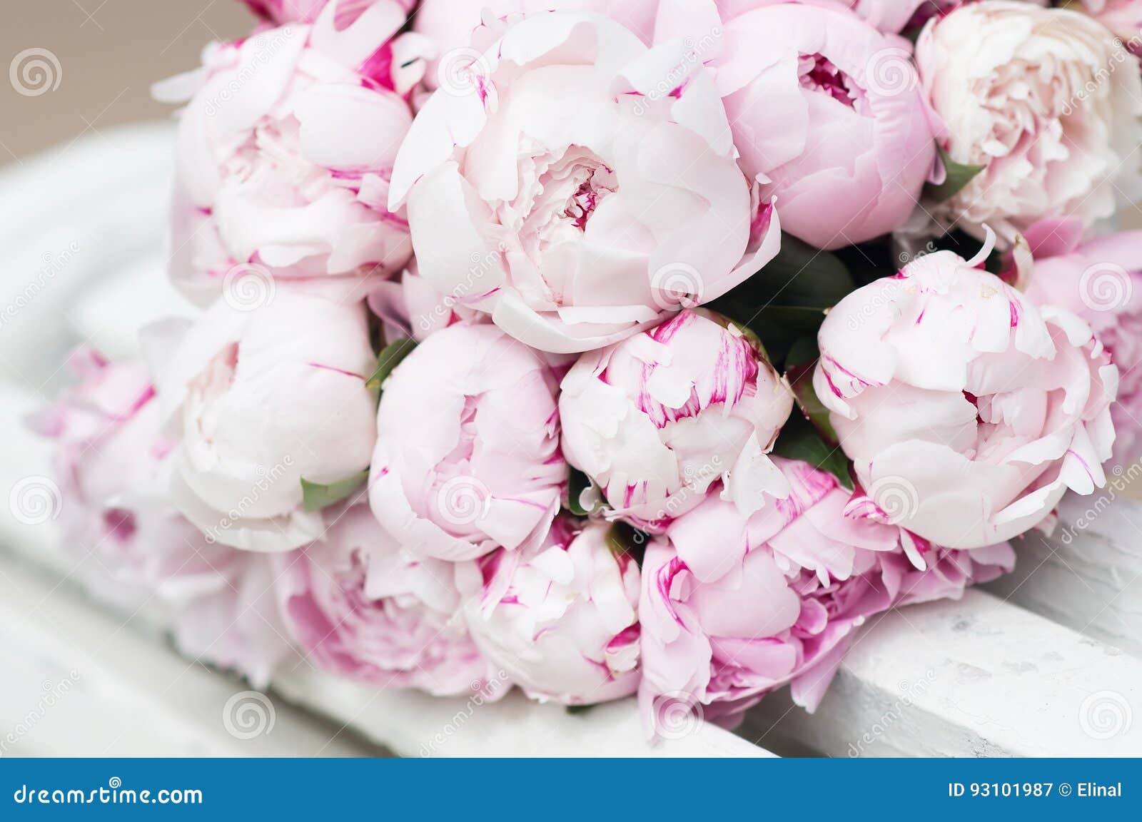 White Peonies Stock Photo | CartoonDealer.com #24739422