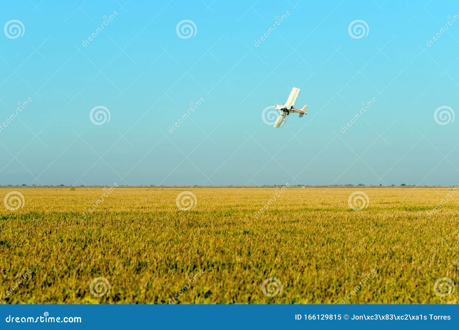 White Plane Fumigating Rice Fields with Blue Sky Stock Image - Image of ...