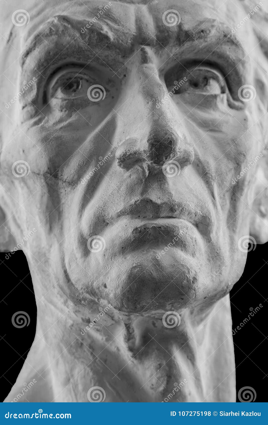 White Plaster Bust, Sculptural Portrait of the Master Stock Photo ...