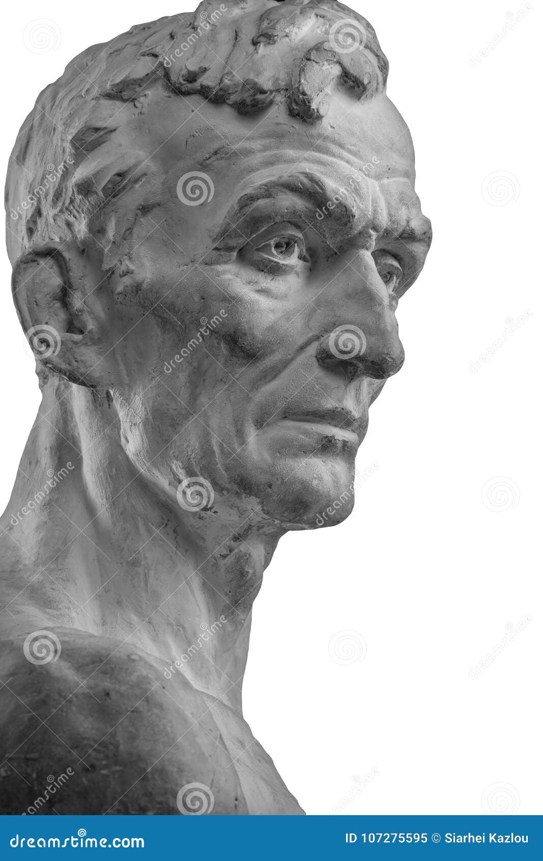 White Plaster Bust, Sculptural Portrait of the Master Stock Image ...