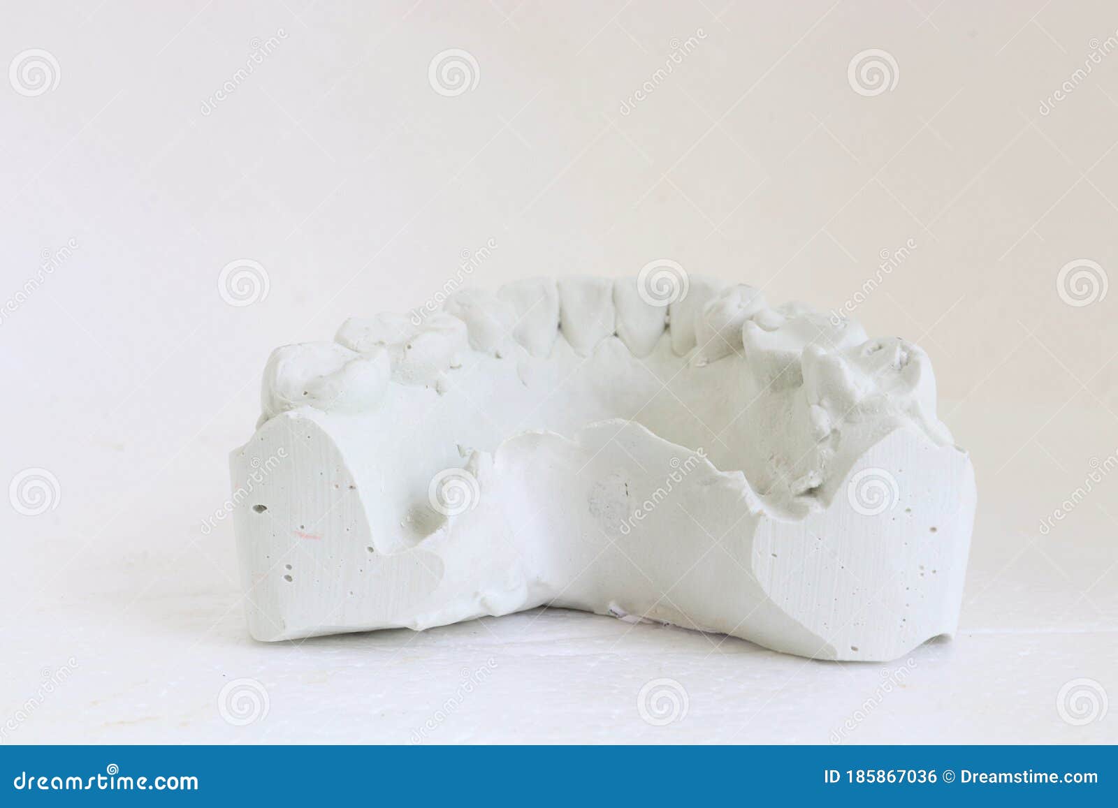 White Plaster Impression of Lower Teeth Isolated on White Background ...