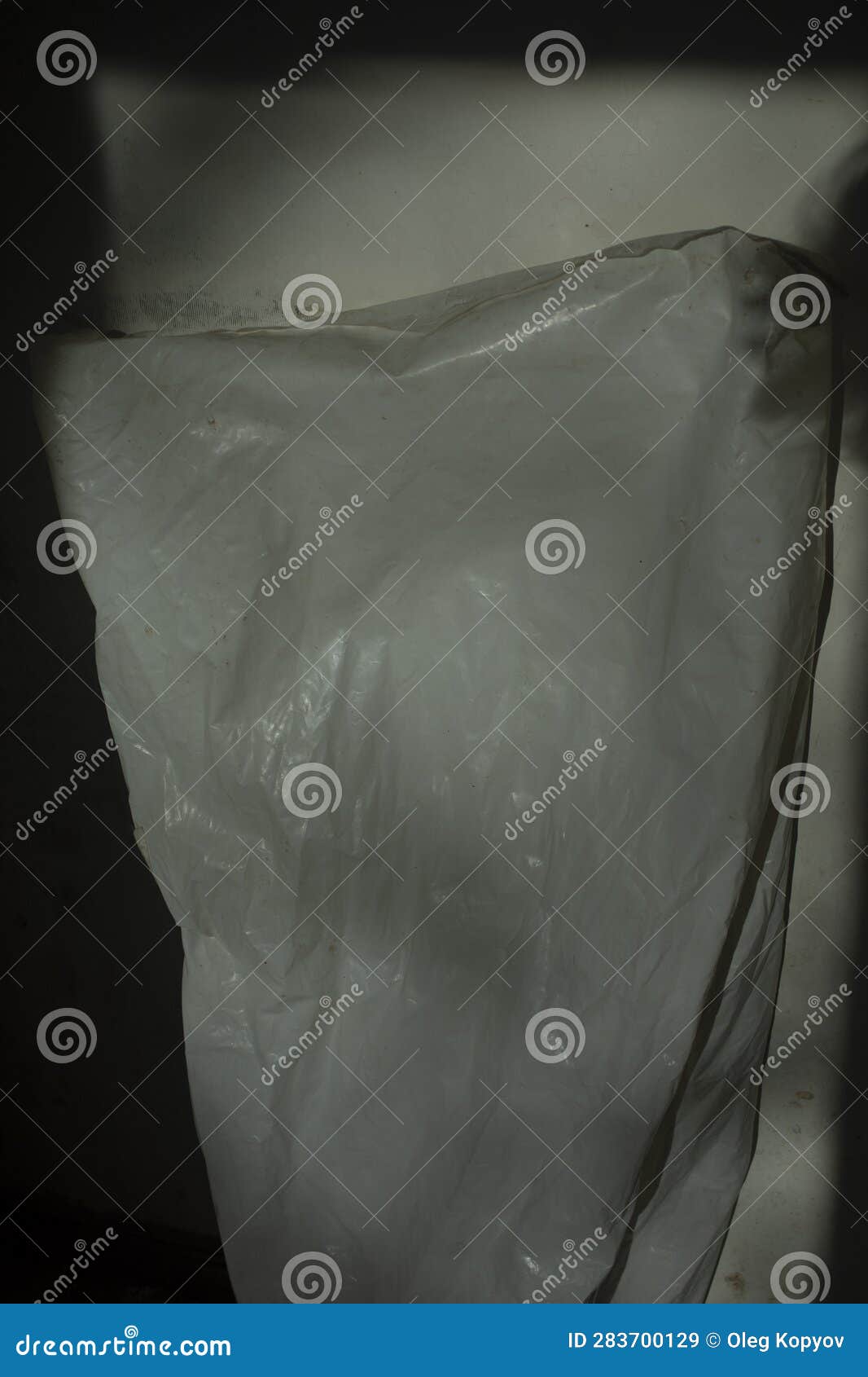 White Plastic Bag. Plastic in Everyday Life Stock Image - Image of ...