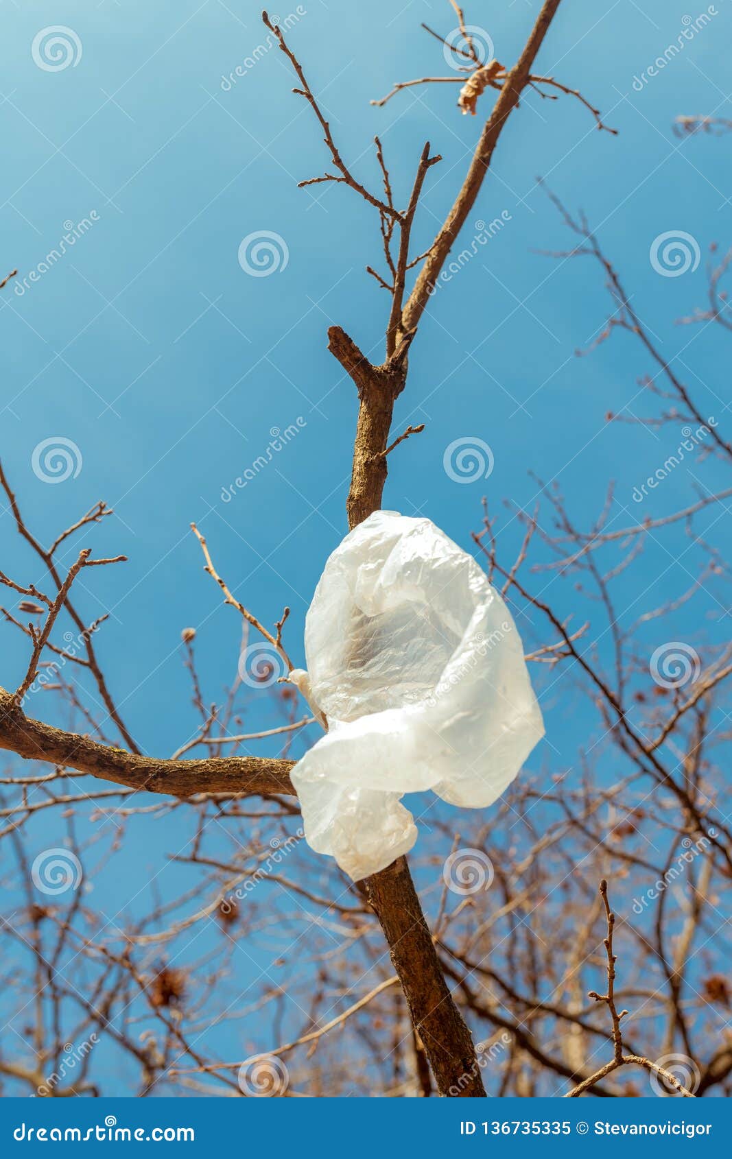 White plastic bag on tree stock image. Image of recycle - 136735335